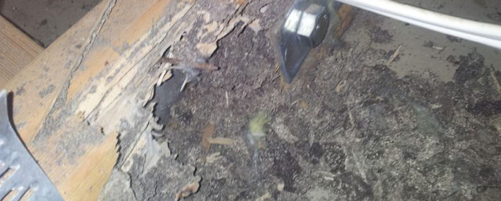 What are some of the best termite protection options? - Abolish Termite ...